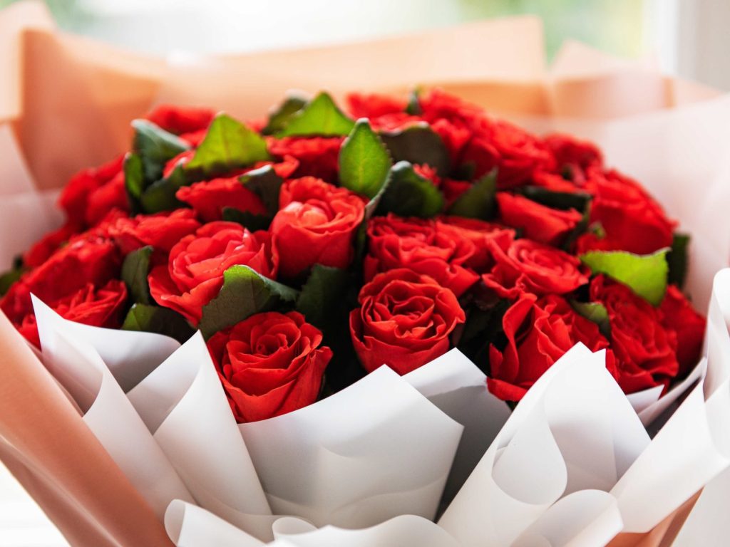 10 flores y plantas ideales para San Valentín 2024, éxito garantizado