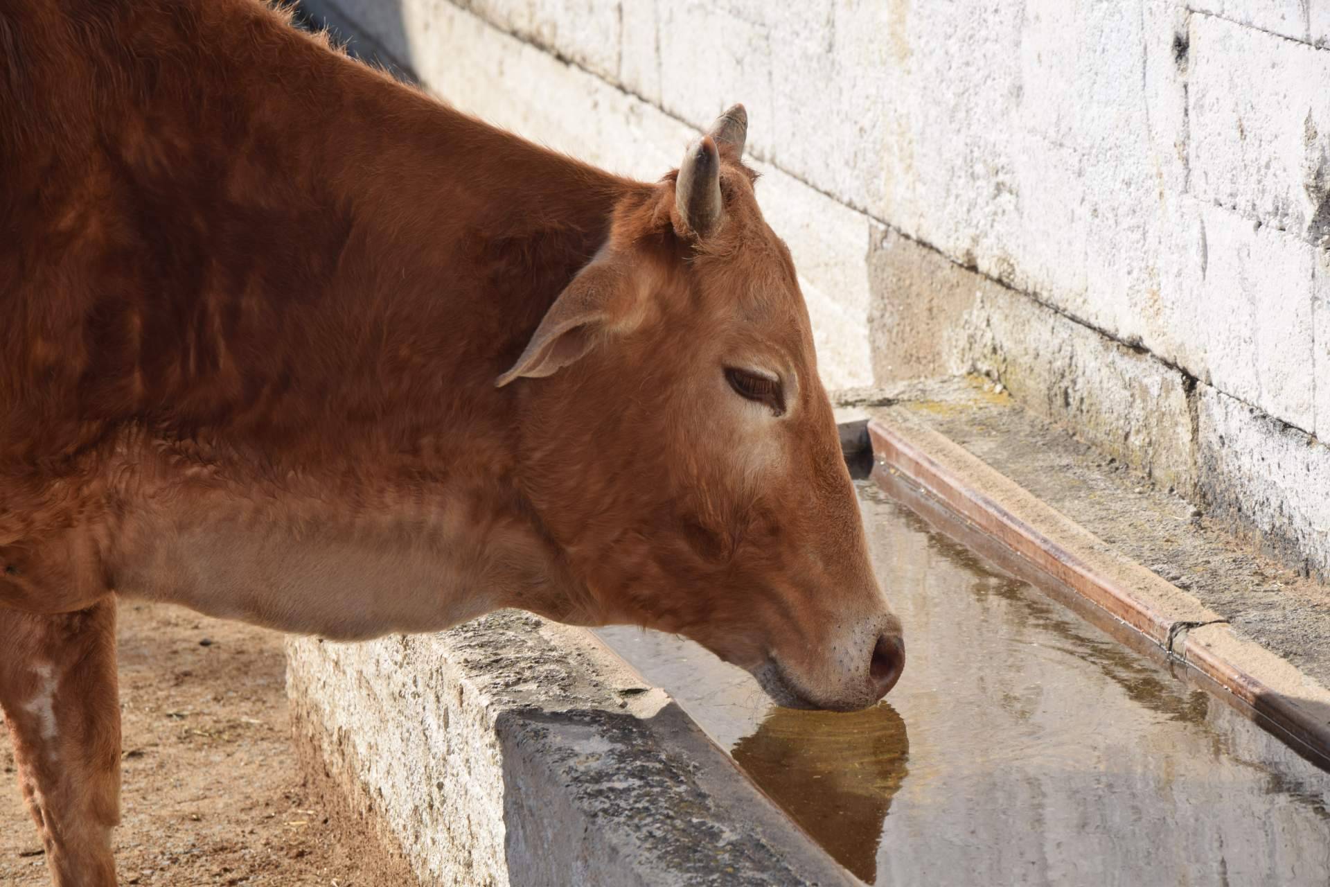 Llenado de depósitos con bomba solar en modo automático, con el sistema Ebosun